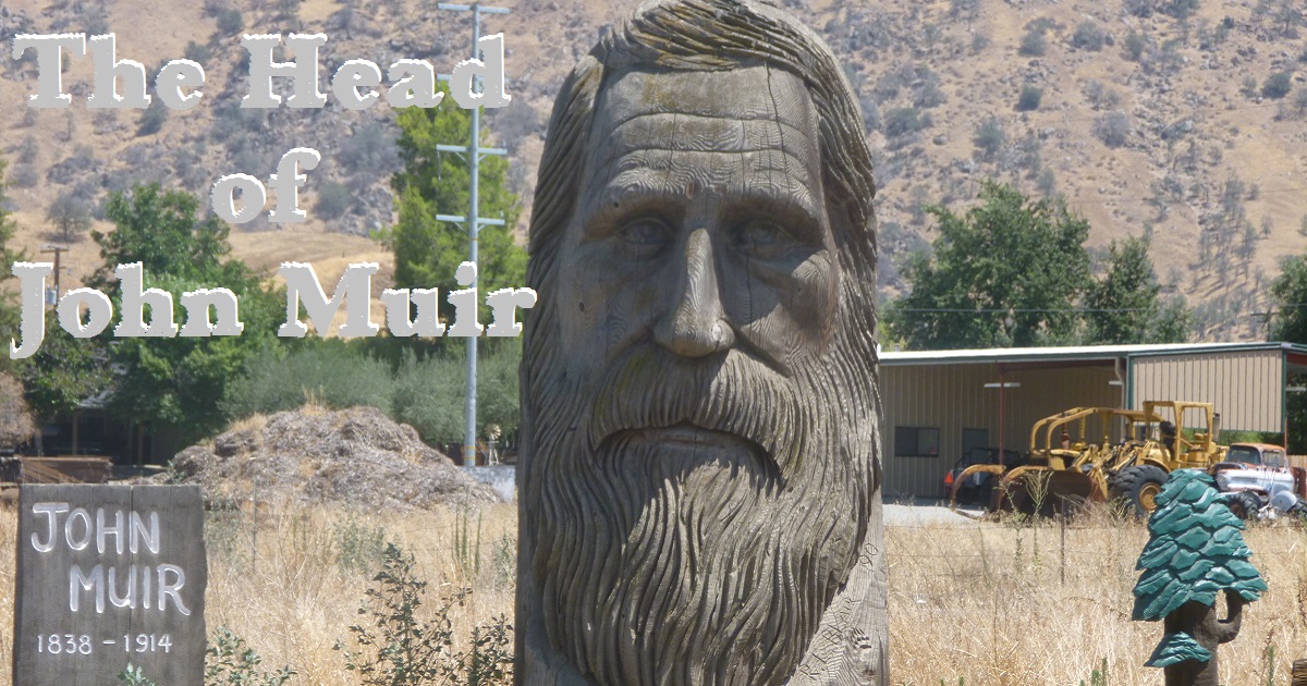 The Head of John Muir - Weird California