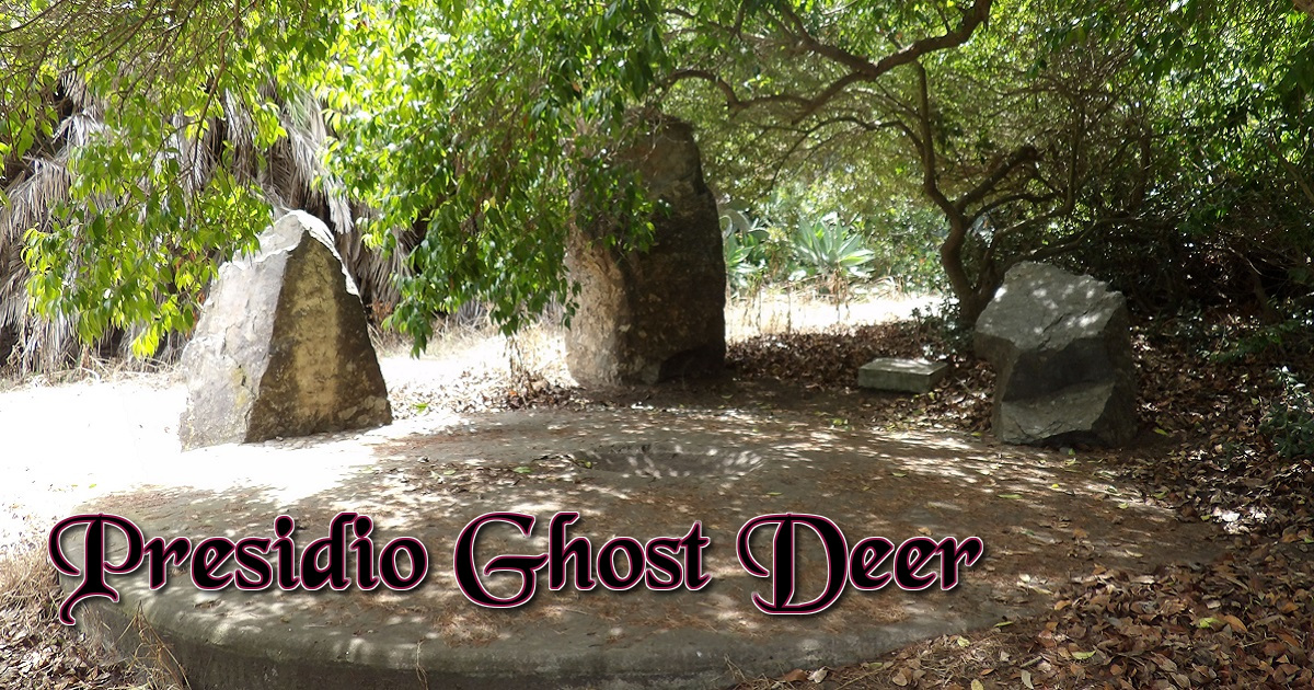 Presidio Ghost Deer - Weird California