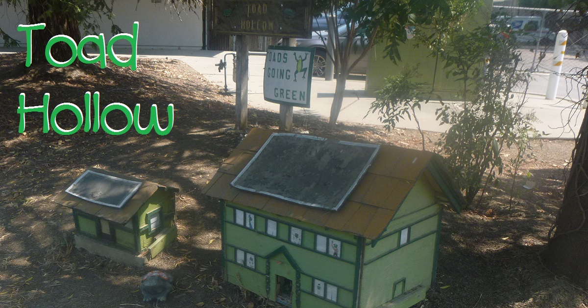 Toad Hollow - Weird California