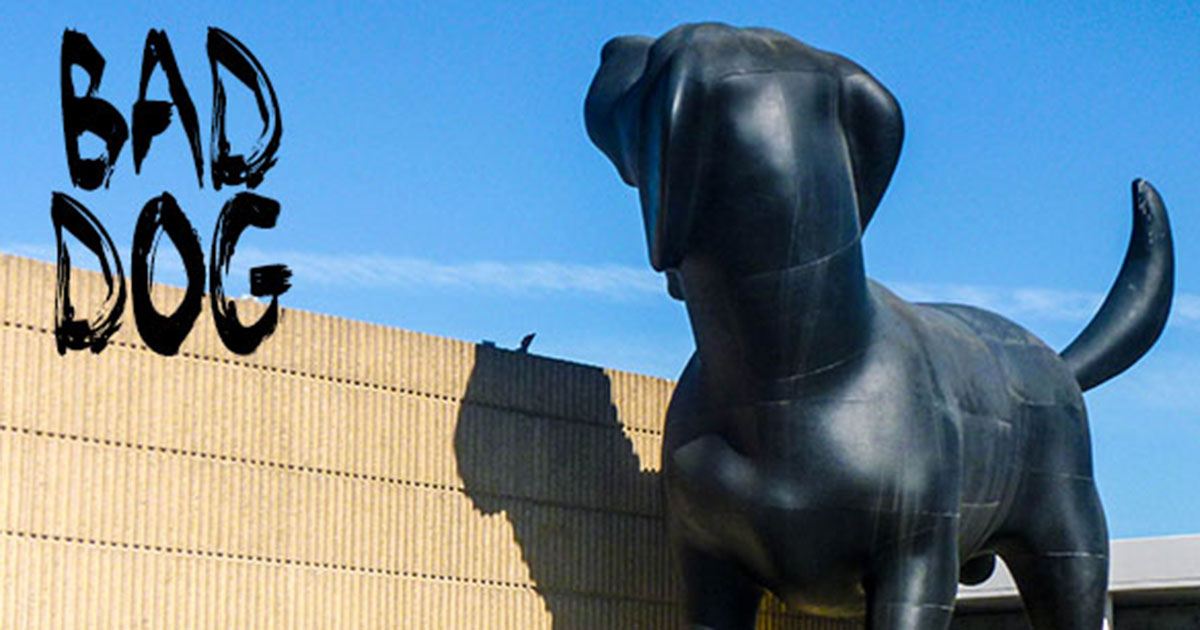 Bad Dog - Weird California