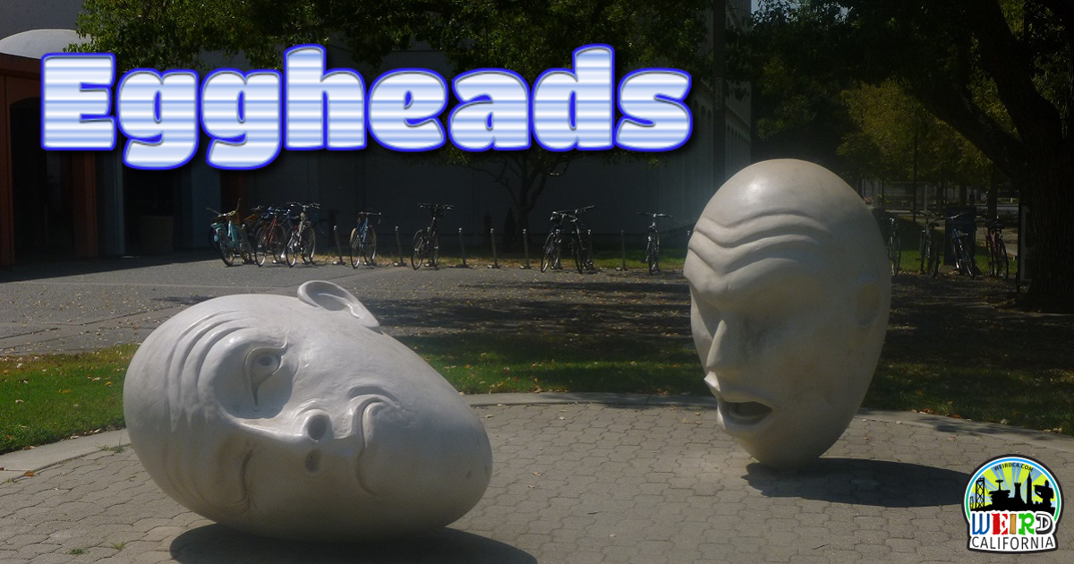 Eggheads - Weird California